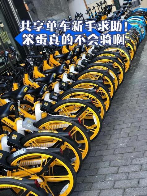 共享单车一直不还钱会怎么样图标