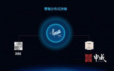 青鸾系统登录入口图标