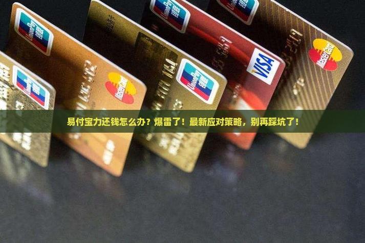 易付宝扣钱是否可以找回