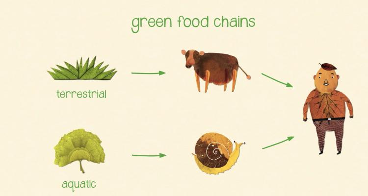 能量沿食物链流动的特点是什么截图