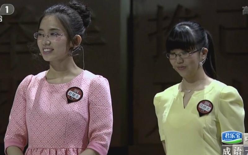 2014中国成语大会图标