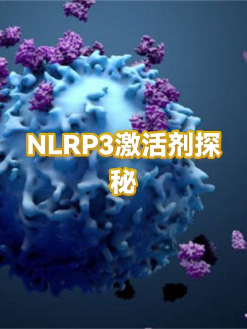 伪激活什么意思图标