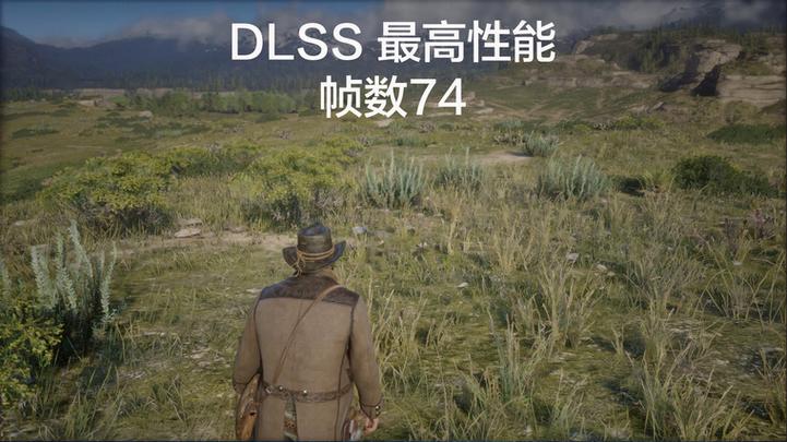 荒野大镖客2帧数补丁图标