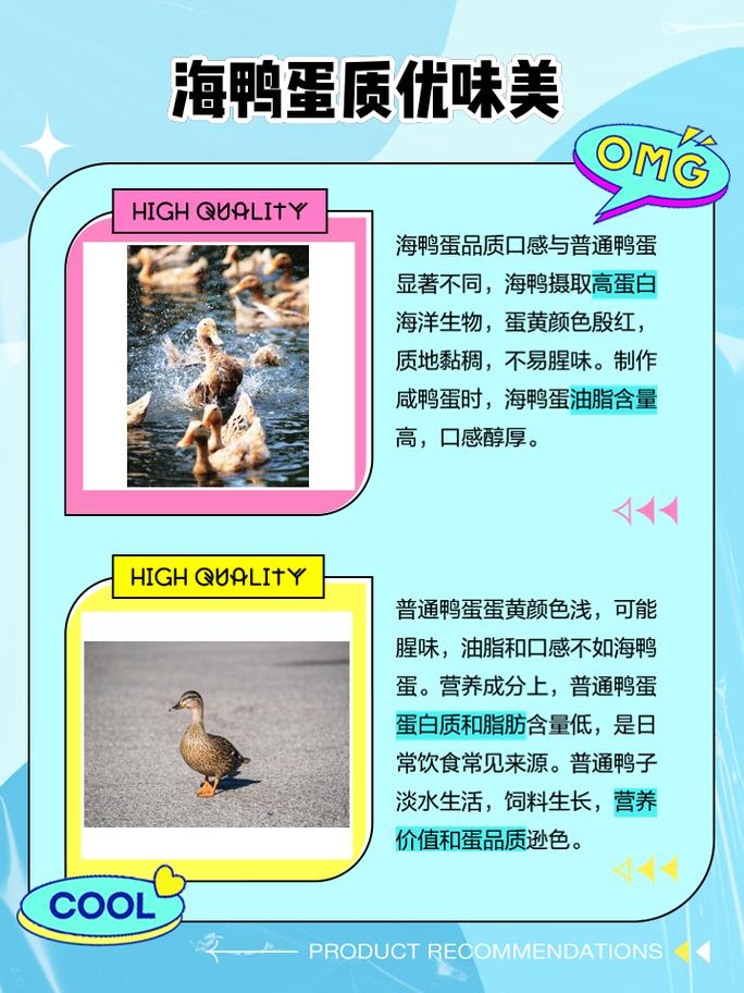 海鸭和鸭的区别截图