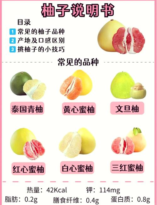 吉柚优选怎么样图标