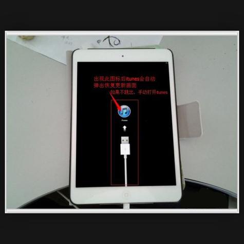 ipad自动锁定灰色点不了图标