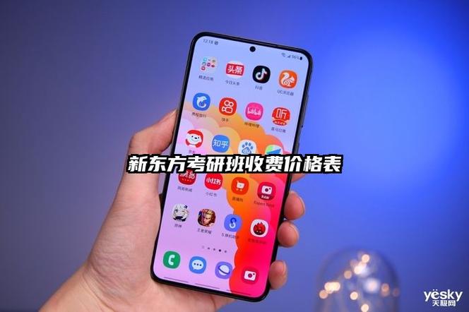 新东方考研网课价目表图标