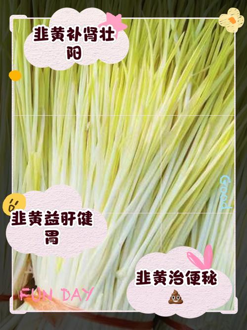 种韭黄赚钱吗图标
