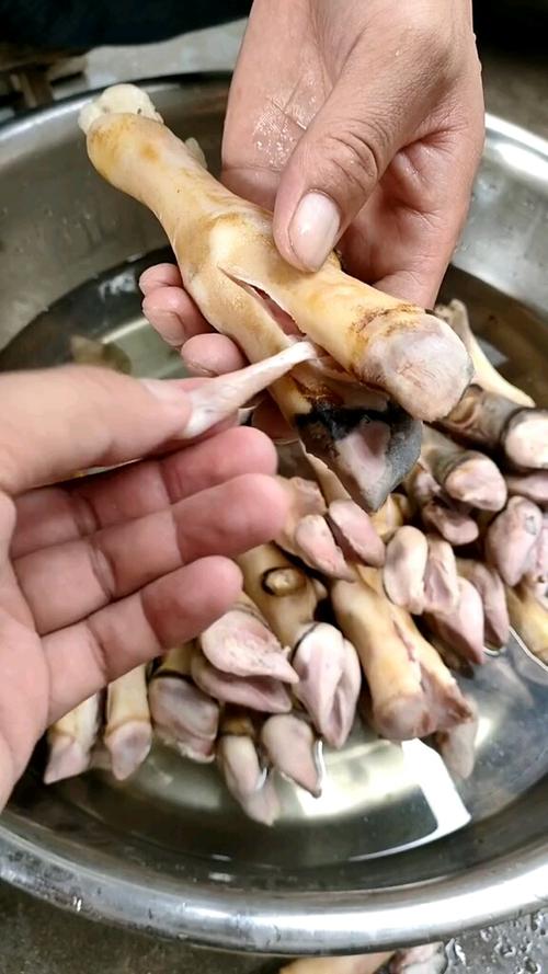 羊蹄子毛怎么容易去掉