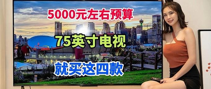 内行人建议买液晶电视