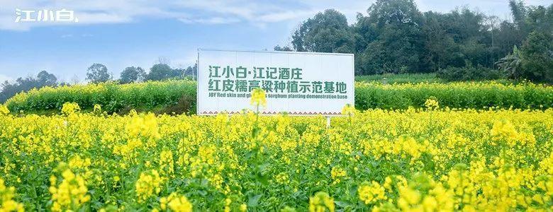 小白农场云下载图标