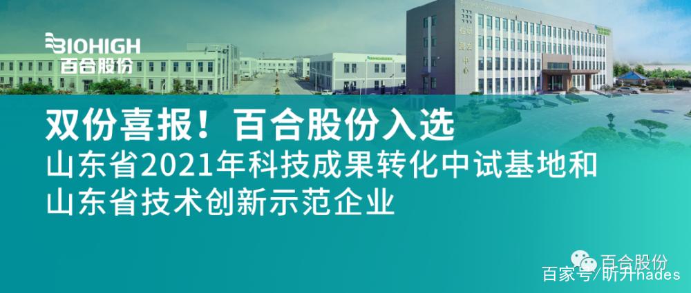 百合科技图标