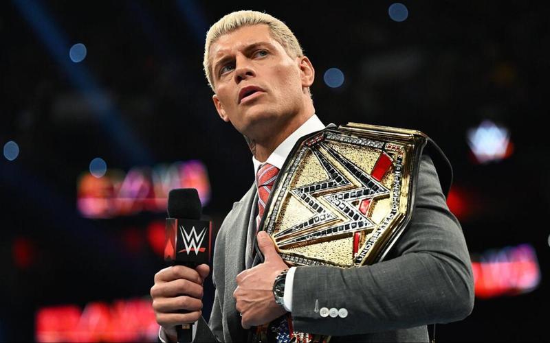 wwe人气最高的是谁图标
