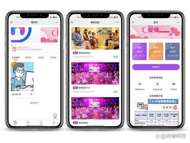 中国婚恋网官网app图标