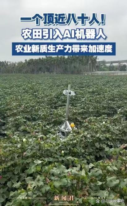 棉花最新消息图标