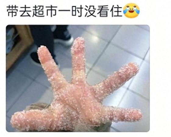 人类幼崽为什么这么弱图标
