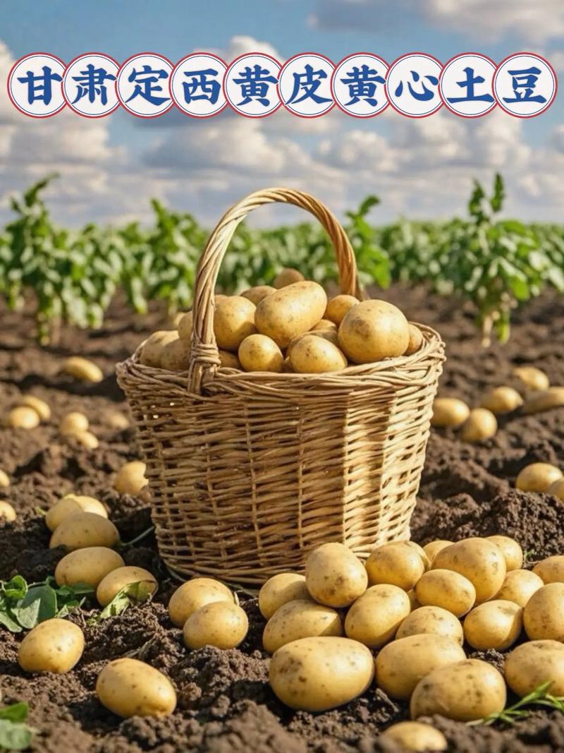 土豆下载安装官方免费版图标