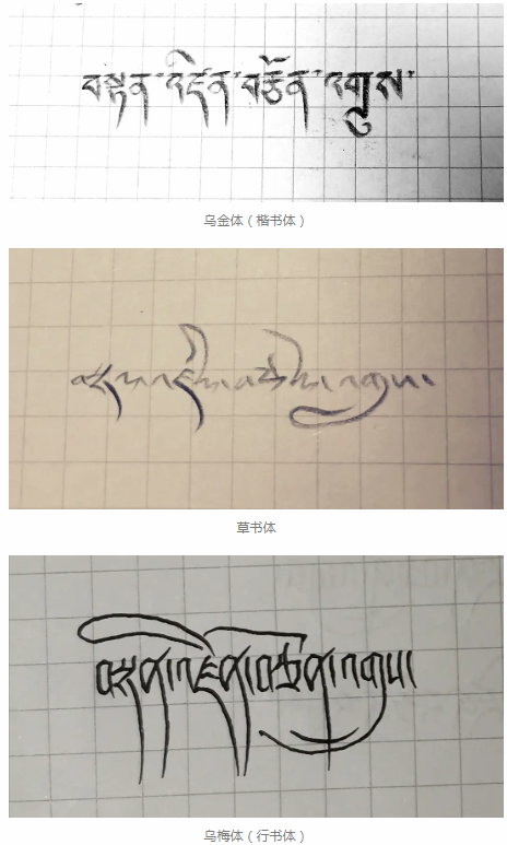 丁真全名藏语截图