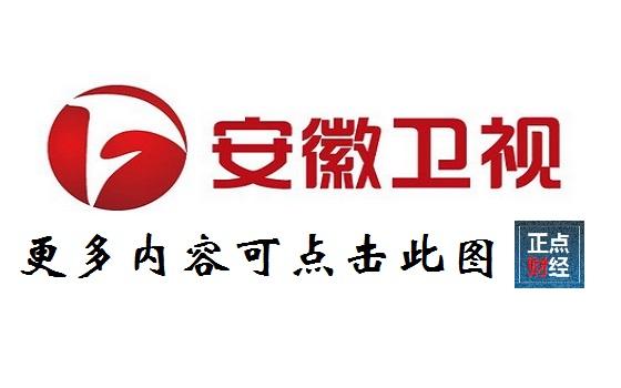 安徽卫视 在线观看图标