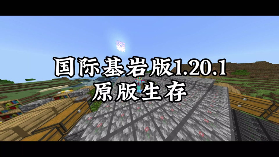 国际基岩版图标