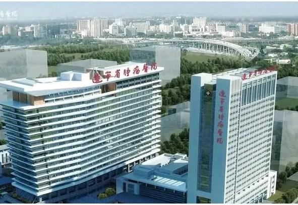 辽宁省肿瘤医院一把刀图标