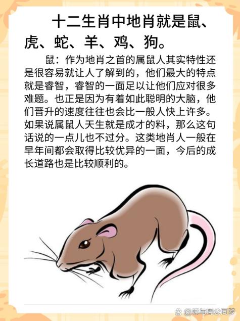 地肖是指什么生肖图标