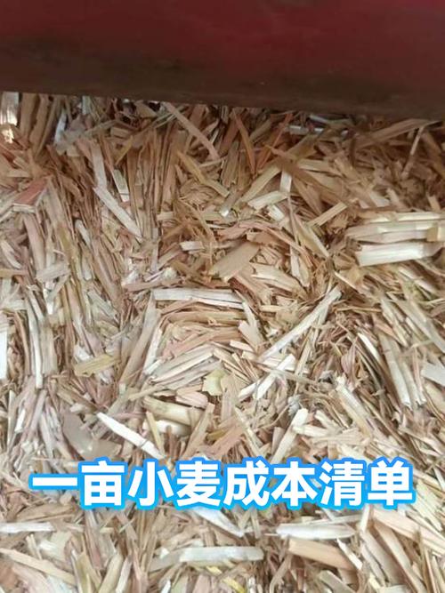 一亩小麦的成本明细表截图