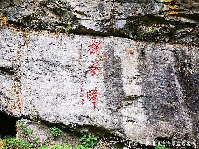 点苍是什么意思图标