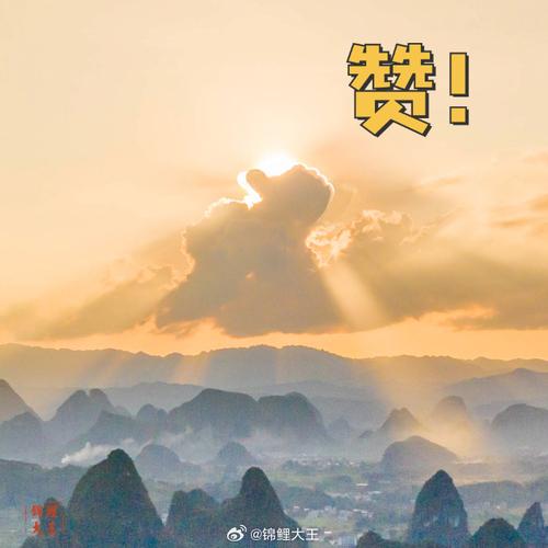 云赞抖音点赞图标