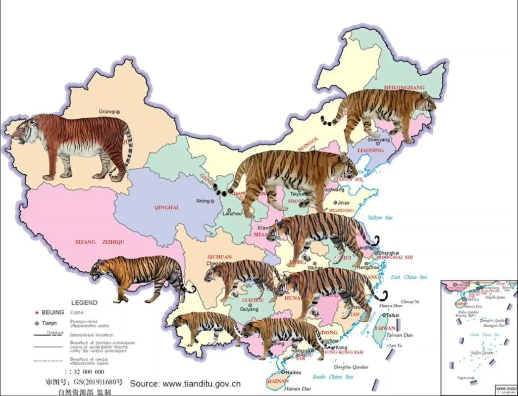 老虎地图官方版下载