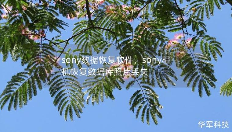 索尼相机初始化照片还在吗图标