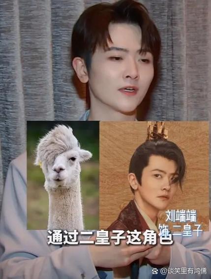 大皇子和太子的区别图标