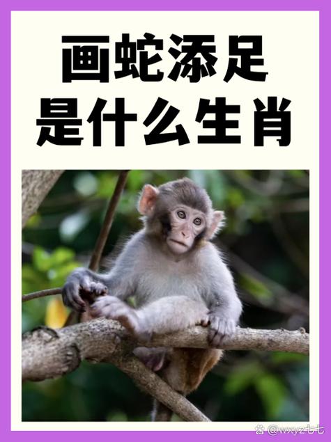 记性差最准确的生肖图标