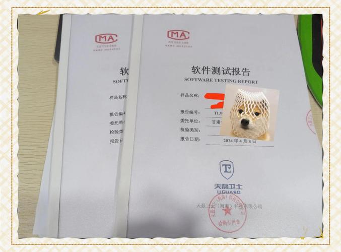 第三方软件测试评估图标