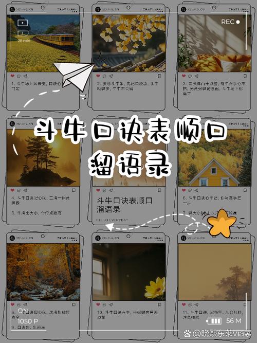 斗牛牛的规则玩法图标