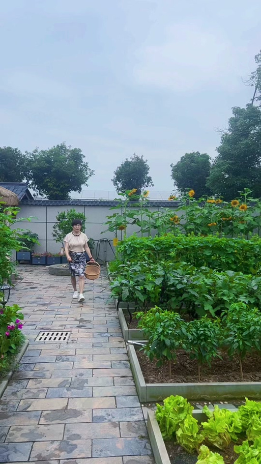 我的农家小院图标