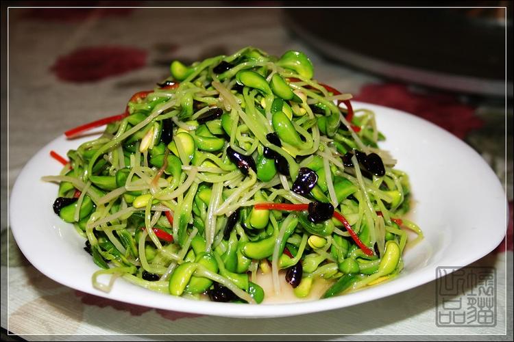 豆苗是什么豆缩略图