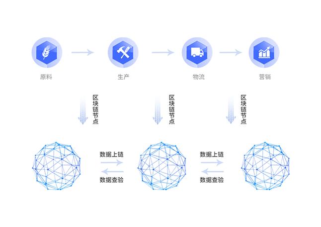 区块链追溯源码图标