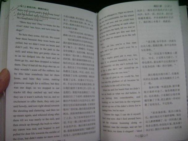 全译本是中文版吗图标