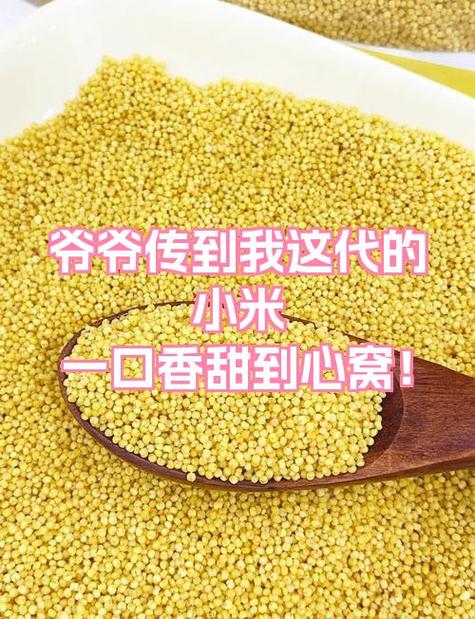 小米和爷爷简介截图