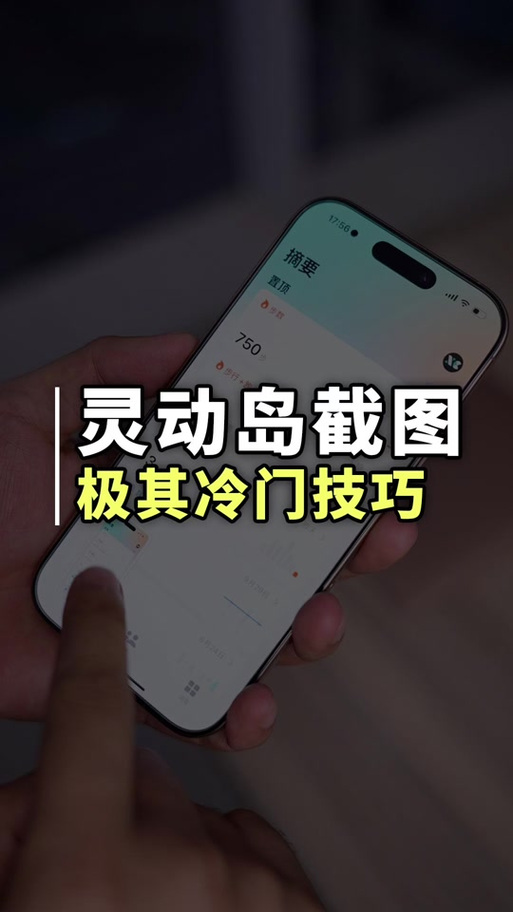 截图怎么才有灵动岛图标