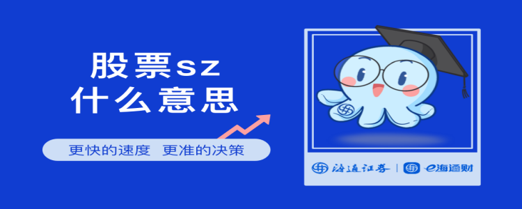 sz的含义有几种图标