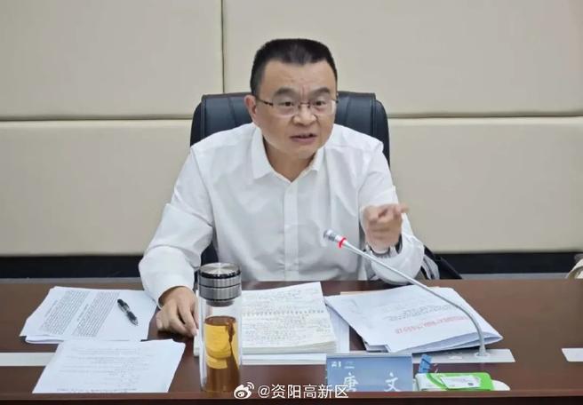 唐文的工作经历截图