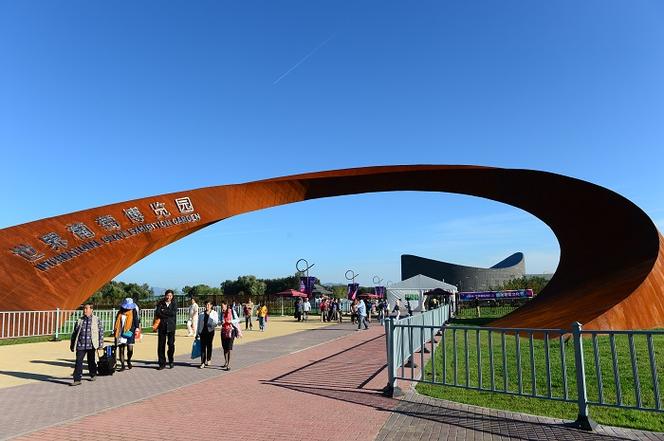 2021世界葡萄博览园图标