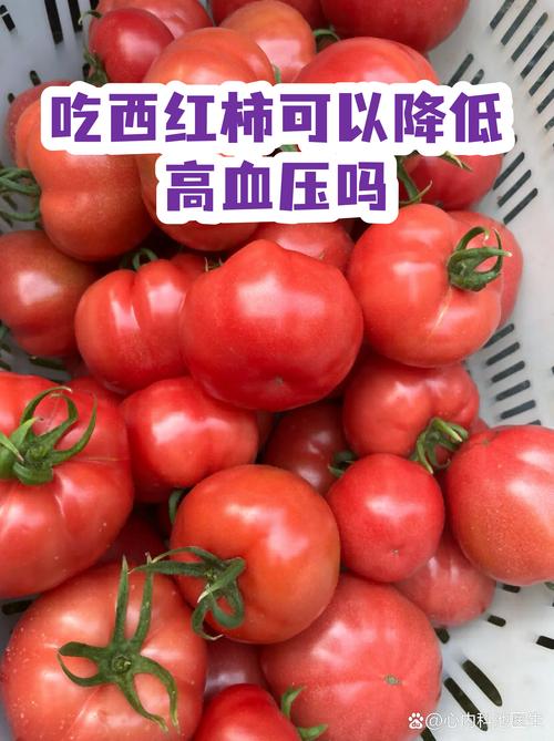 西红柿可以降血压吗图标