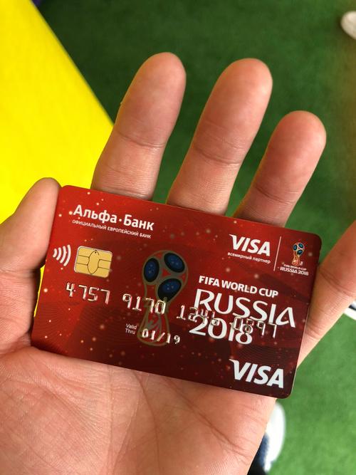 visa卡apple pay图标