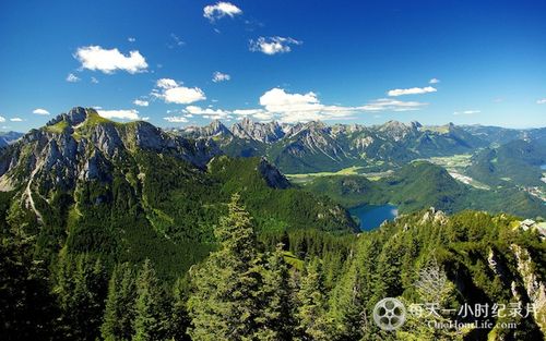阿尔卑斯山 纪录片图标