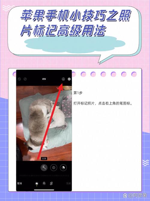 苹果手机照片画圈做标记怎么做图标