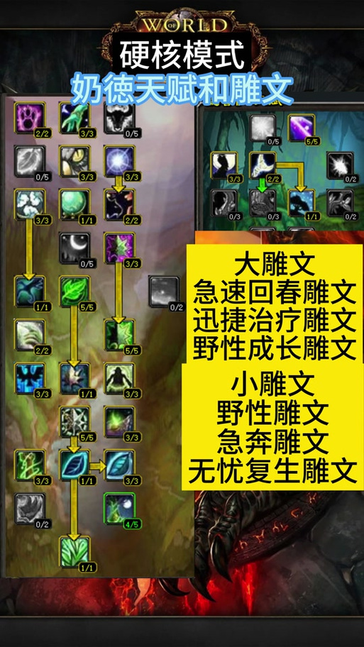 魔兽世界80级奶德截图