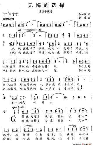 无悔的选择简体中文版图标